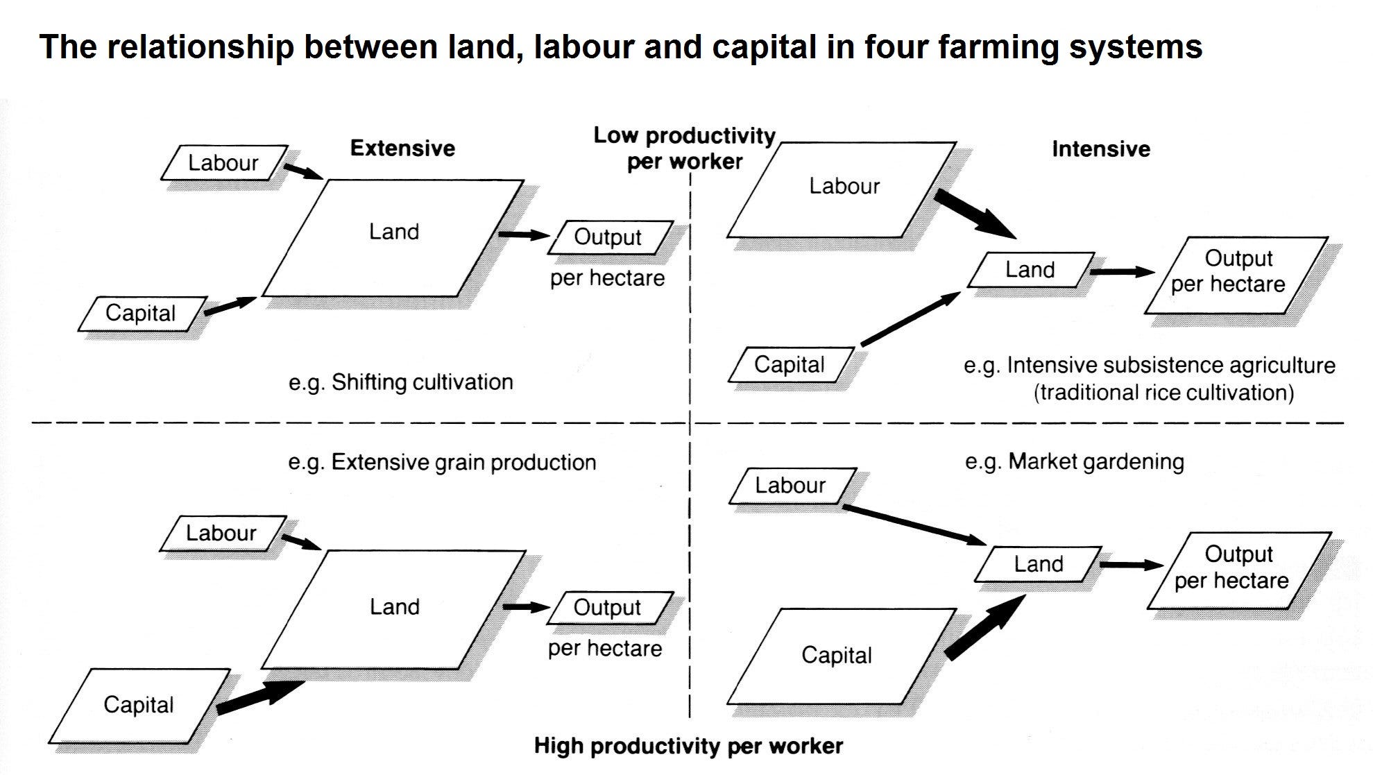 Rural Geography - by Ritchie Cunningham