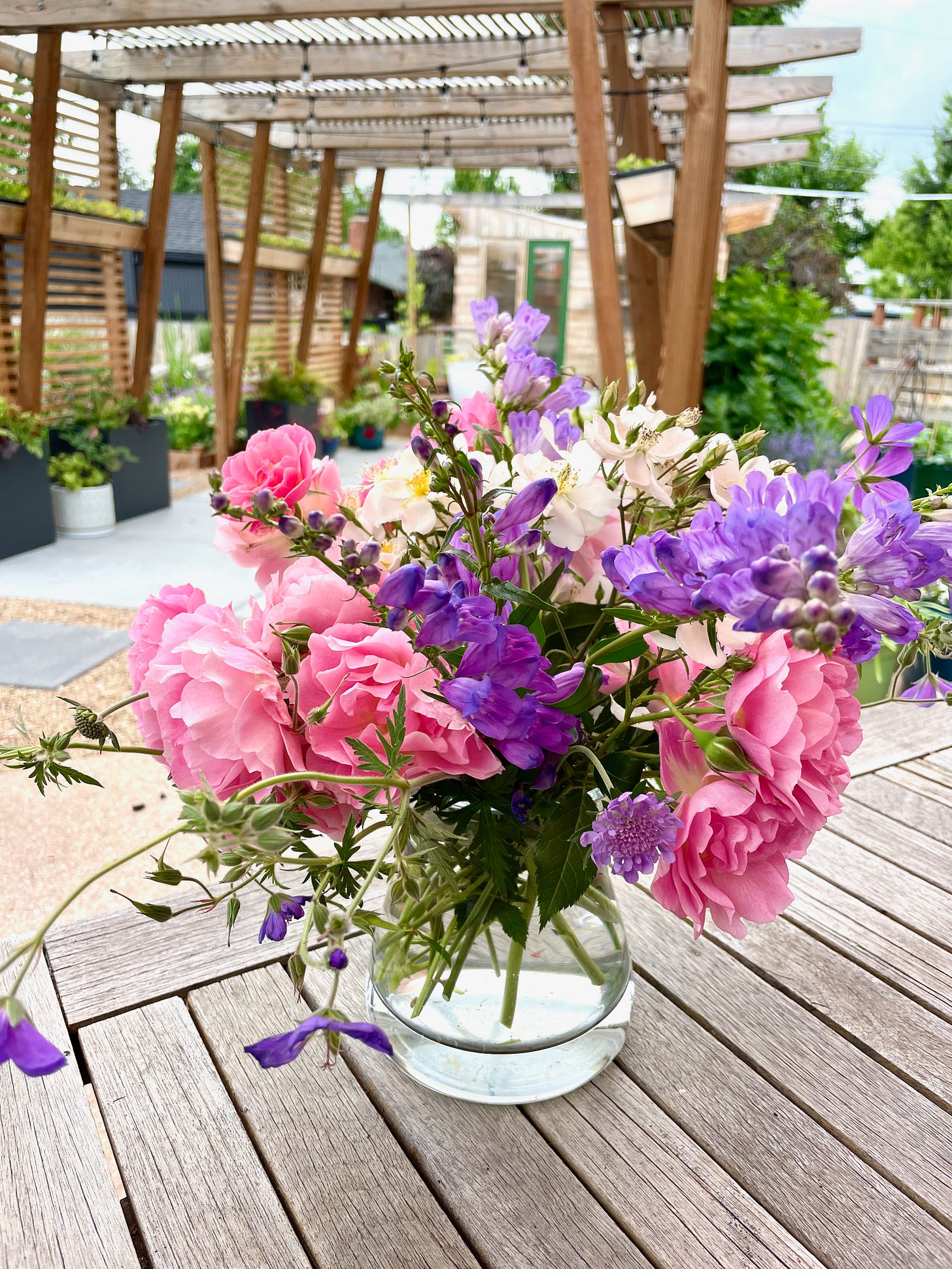 Creating a Shade House: Why We Built It, How It Works, and Why We Love It