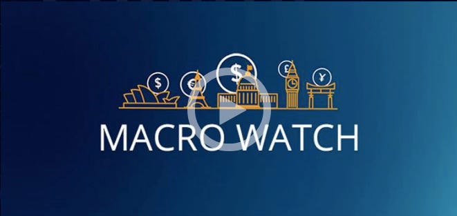 Macro Watch On Substack | Richard Duncan | Substack