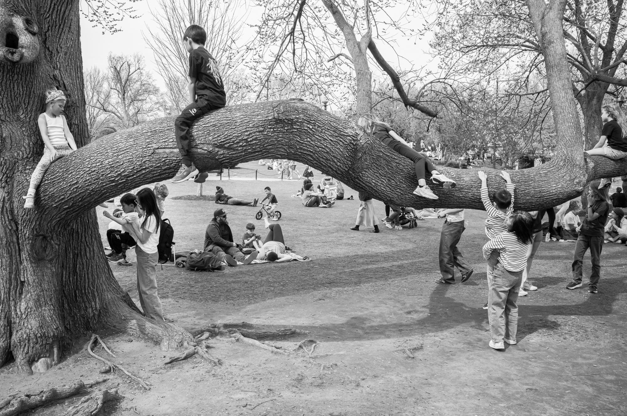 2025 In Review - by Nick Solarz - The Void