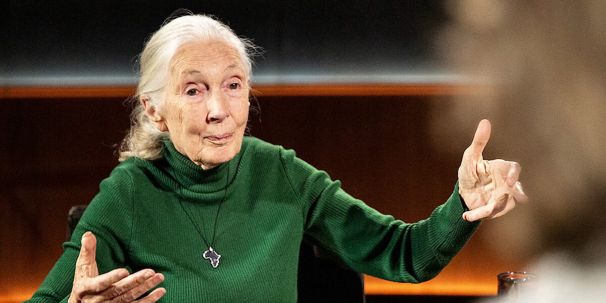 Comments - ALL THAT IS GOOD - by D. Earl Stephens ️