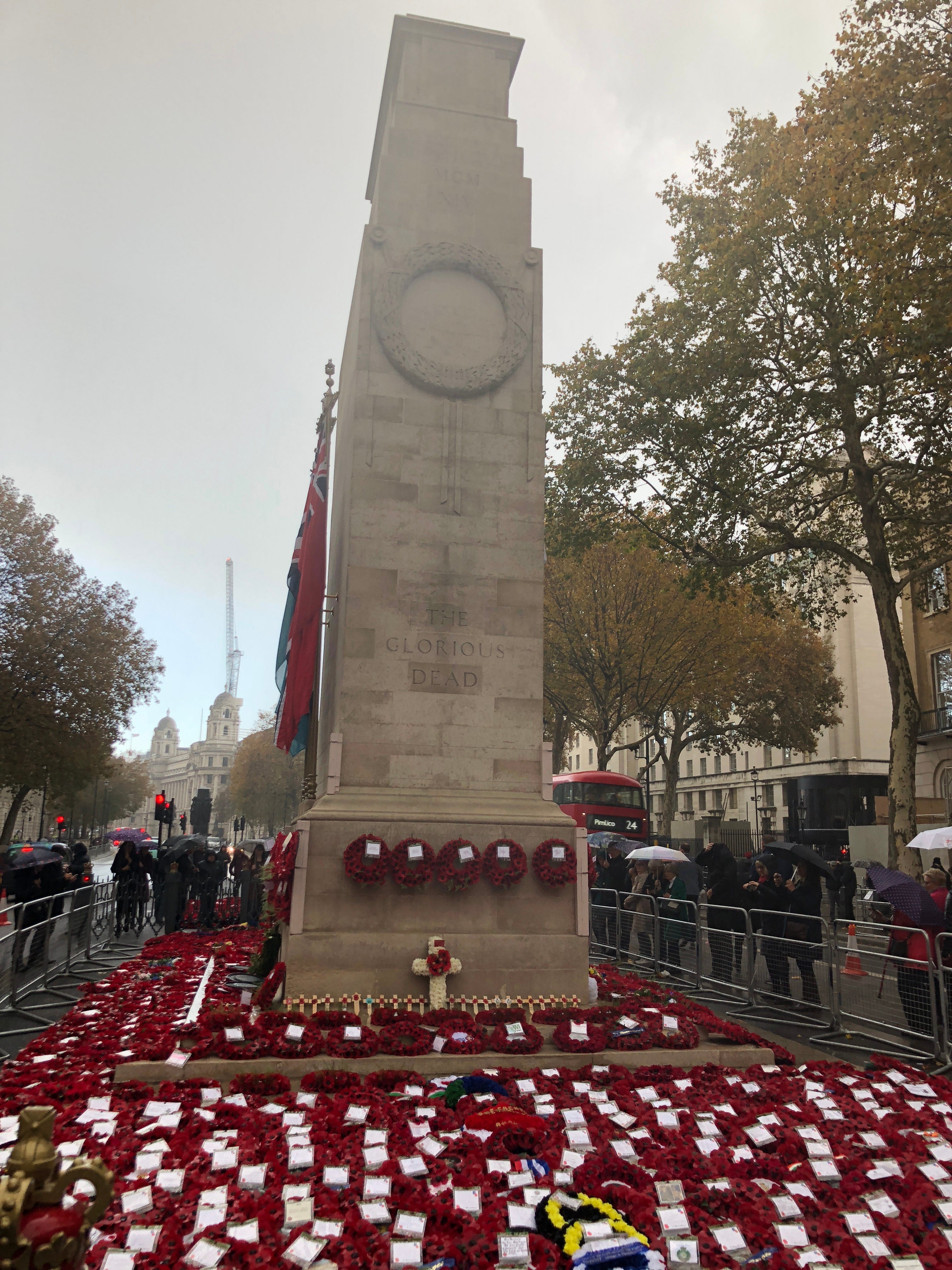 The Psychology of Remembrance: Veterans Day, Remembrance Day, and the ...