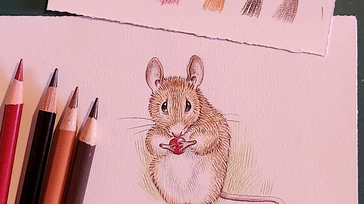 draw with rob a mouse