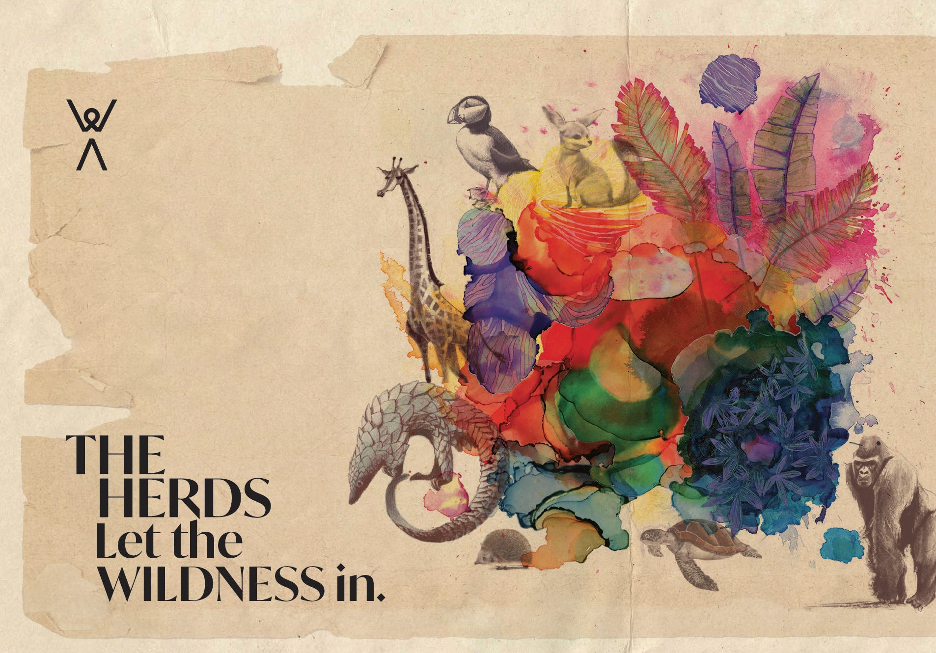 Herding Hedgehogs! - by Hugh Warwick - Hugh’s Substack