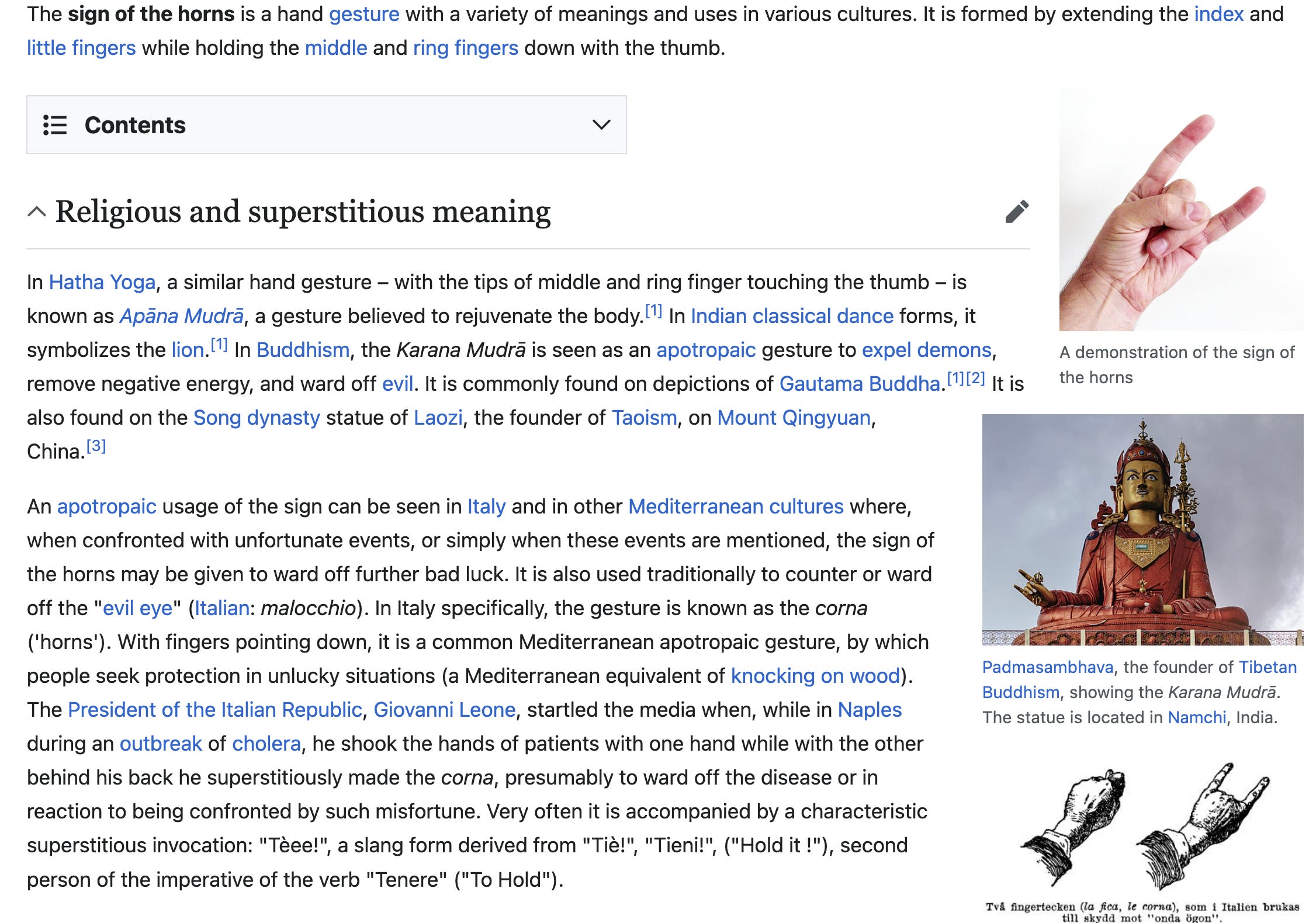 Devil-horn gesture? Erika Kirk’s hand sign at Charlie Kirk memorial ...