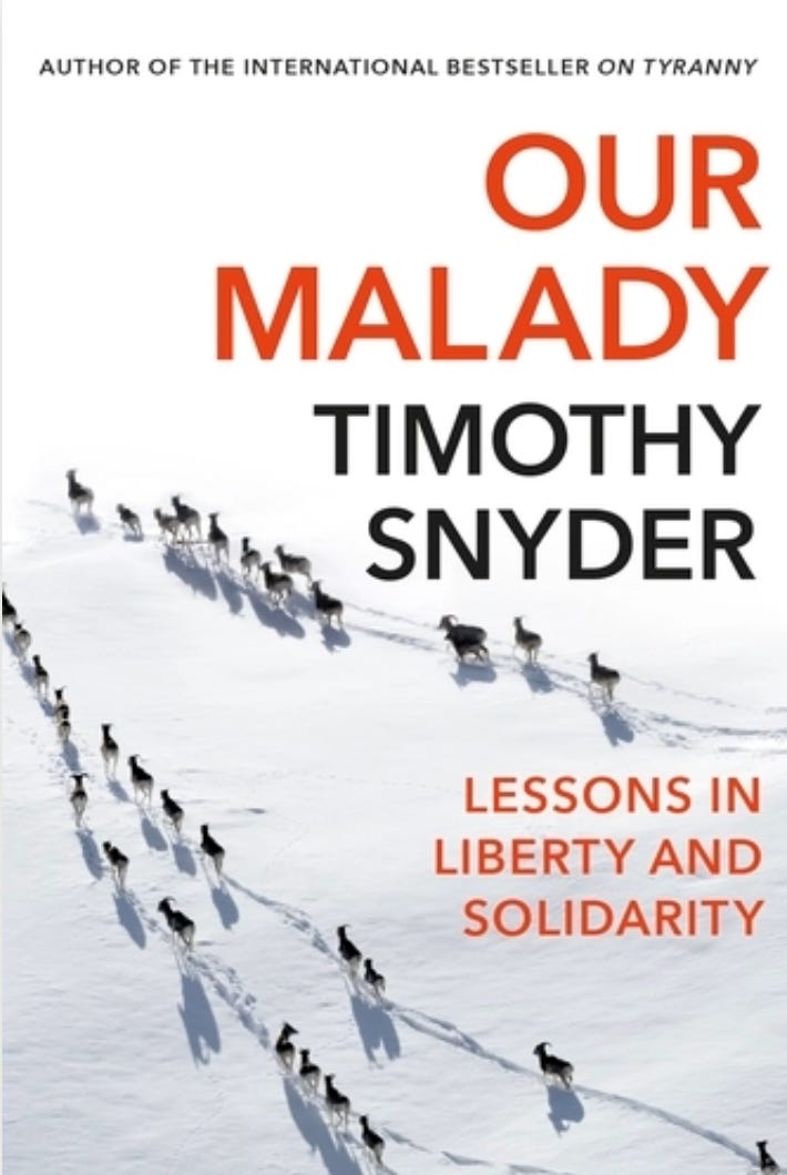Our Malady: Lessons In Liberty From A Hospital Diary by Timothy Snyder ...