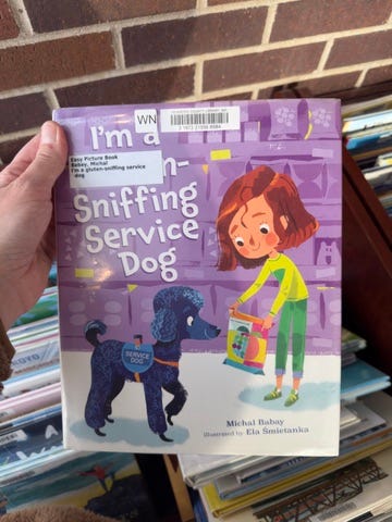 What Makes a Good Children’s Book? A Simple Guide for Parents and ...