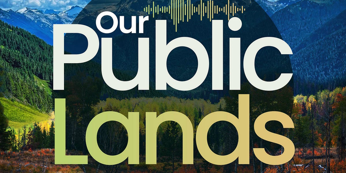 #42 - Love Battles for the Wild w/ Brock Evans