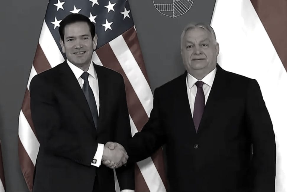 The sickening MAGA bromance with Viktor Orban