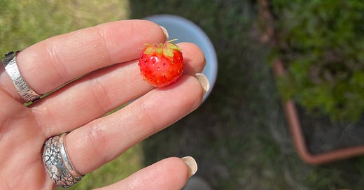 Emma Shaye | Substack