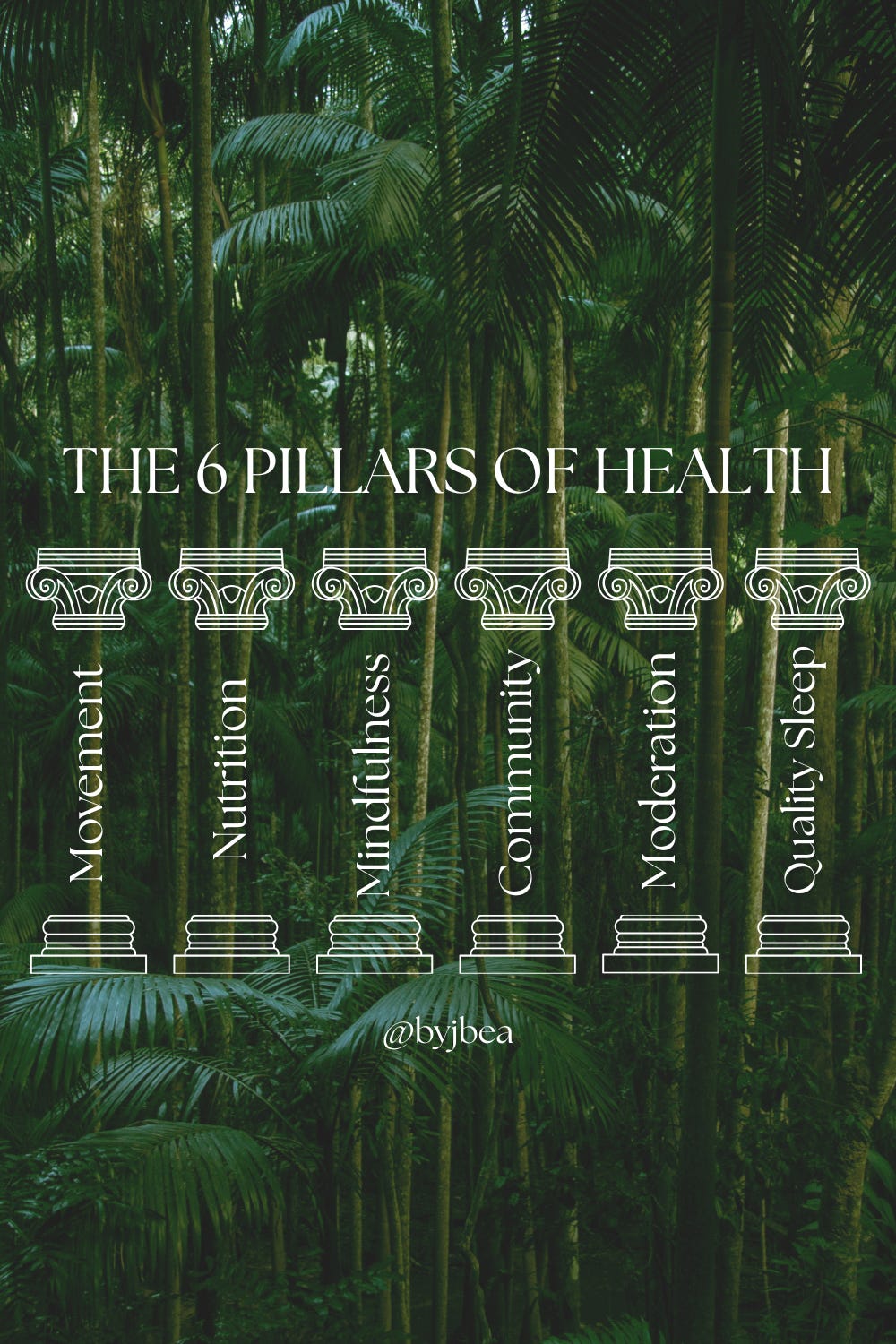 The 6 Pillars for Maintaining Health - by J Bea