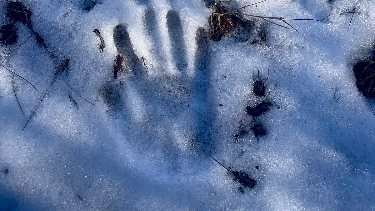 Where water pools & what doesn't move - by Alissa Fleet