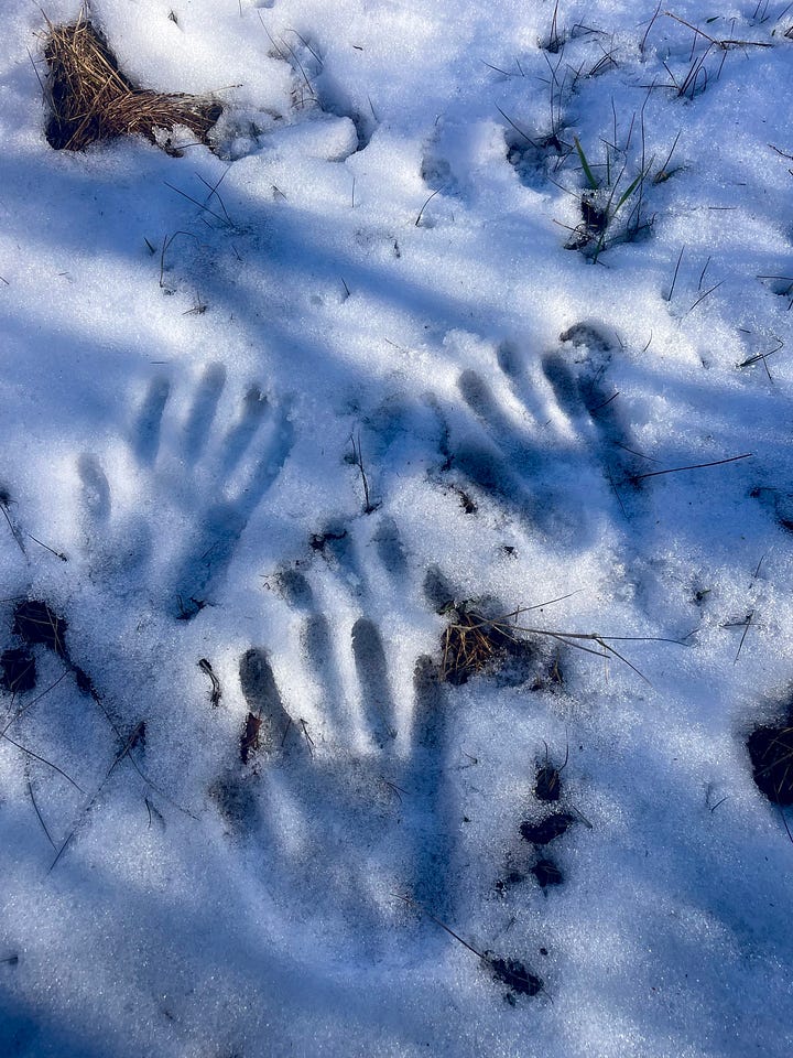 Where water pools & what doesn't move - by Alissa Fleet