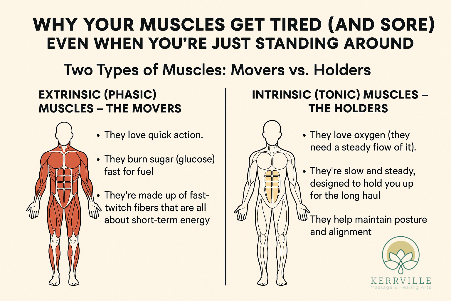 Why Your Muscles Get Tired (and Sore) Even When You’re Just Standing Around