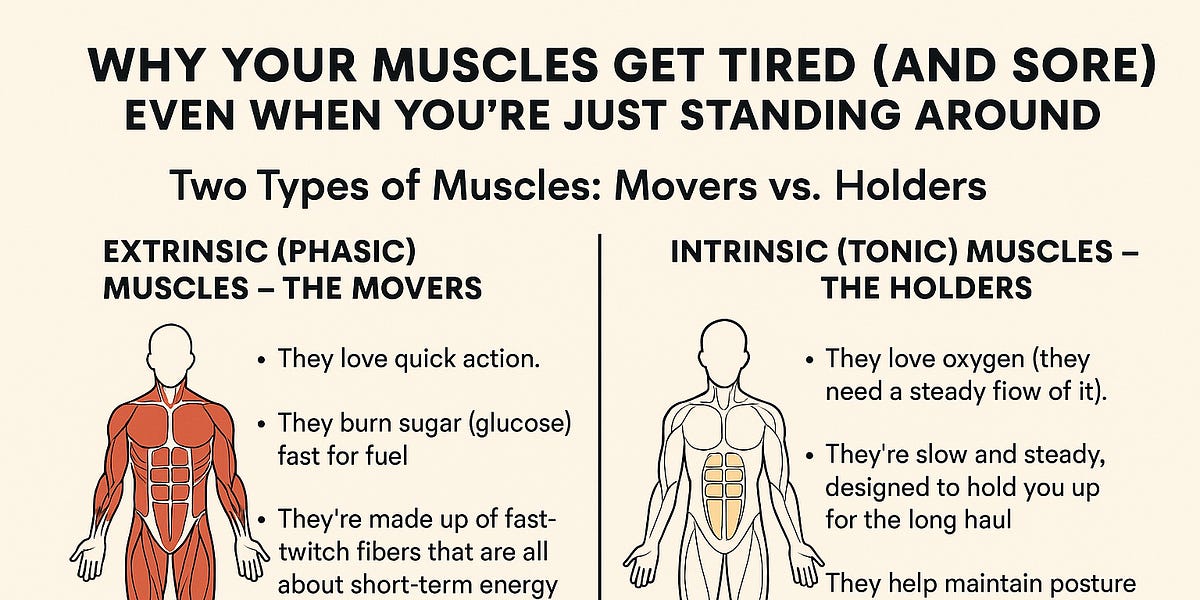 Why Your Muscles Get Tired (and Sore) Even When You’re Just Standing Around