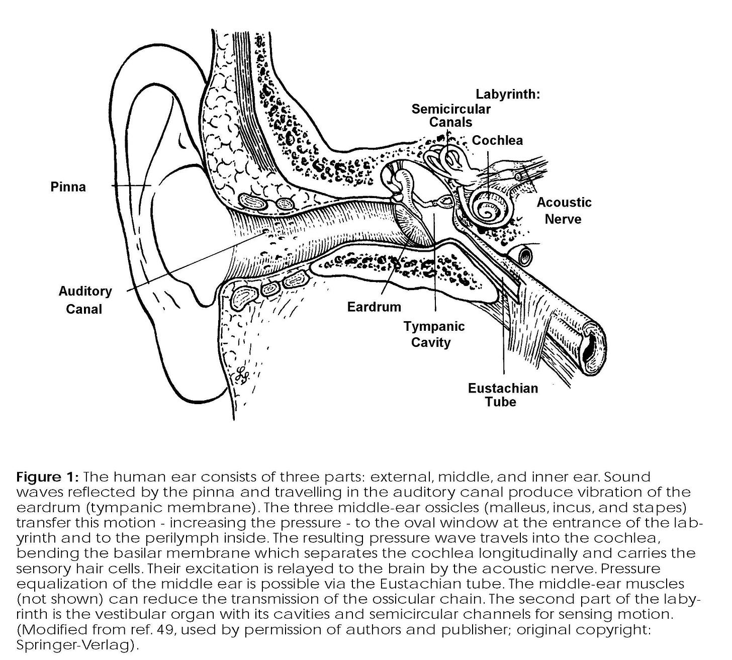 Long Range Acoustic Device (LRDA) [i] - by Mike Mihajlovic