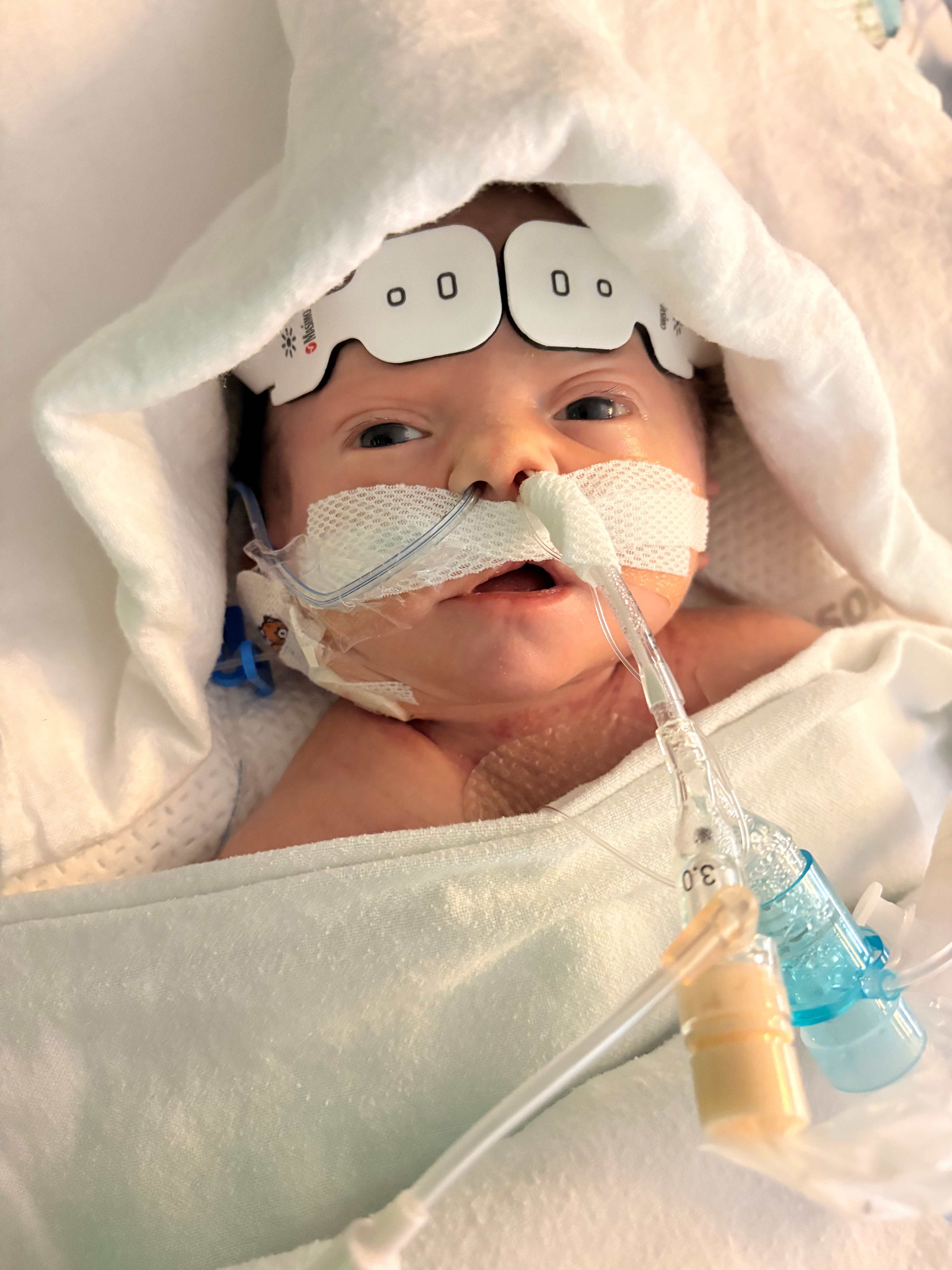 Whitney Wakes Up - by Ryan Kehler - Ryan's Substack