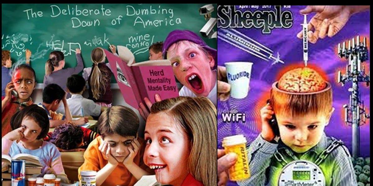 SMHP: The Fake School vs Prison The Big Picture Explained for ...