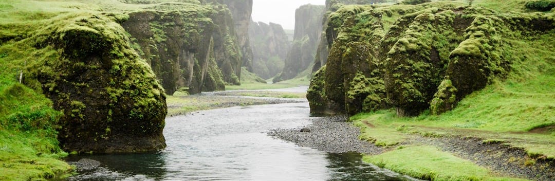 The Open Gate by Ian Gregory Cummins | Ian Cummins | Substack