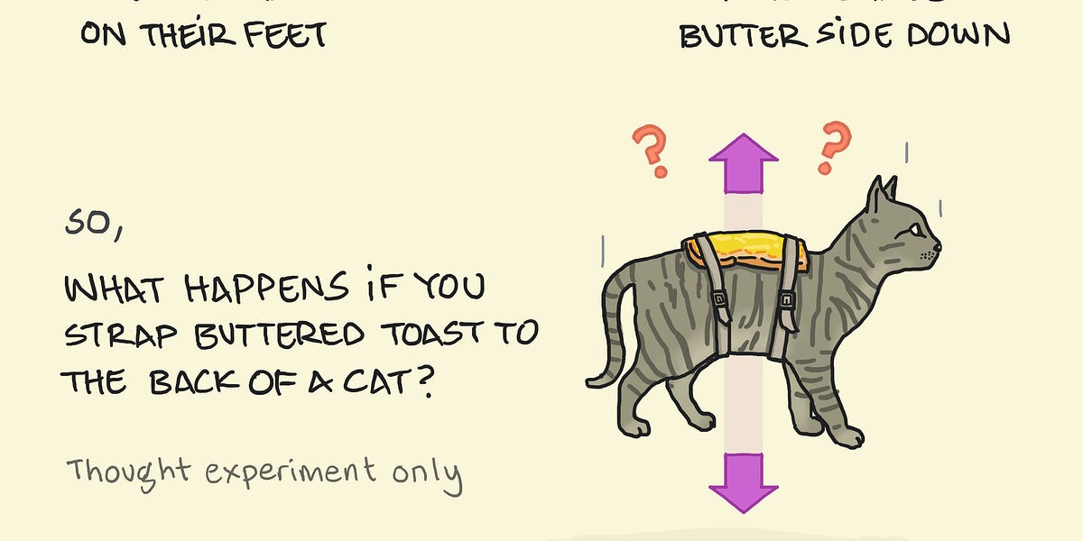 The Buttered Cat Paradox - by Jono Hey - Sketchplanations