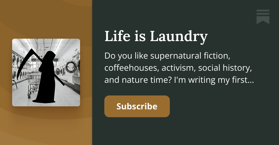 Life is Laundry | D.K. Boss | Substack