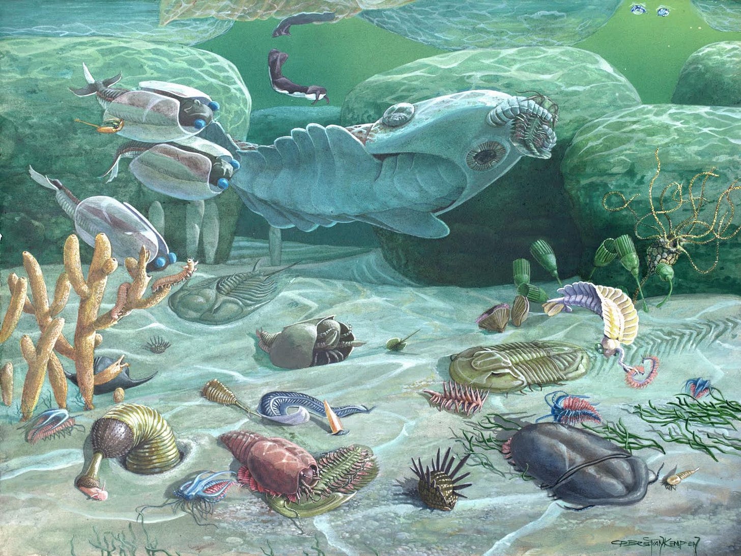 paleozoic climate