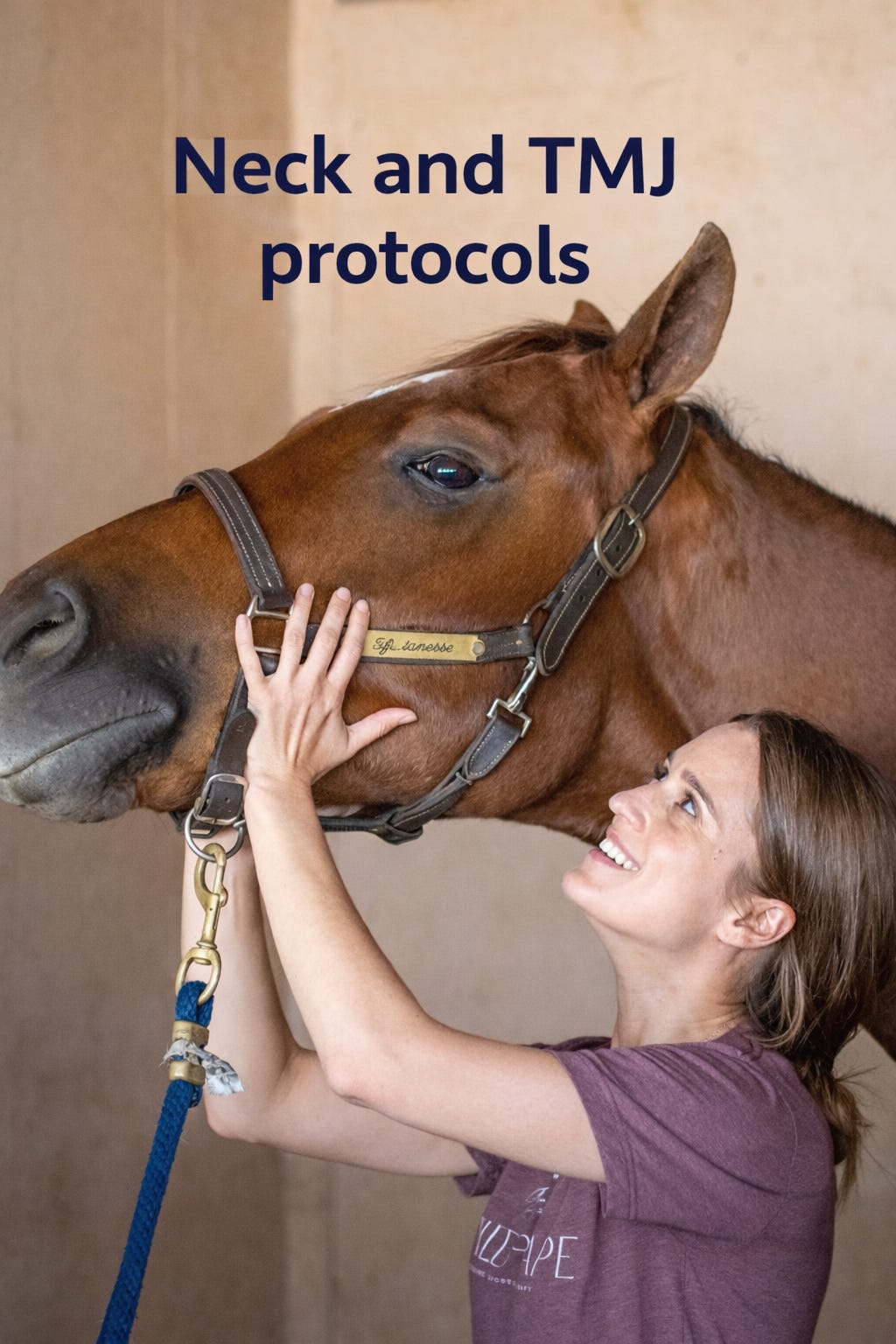 Neck and TMJ Protocols: Supporting Equine Comfort and Function