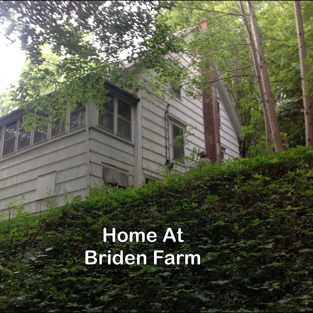 Along The Path at Briden Farm - Brian Hurlburt, Author