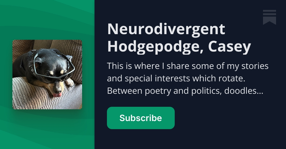 Van Life Community Under Threat - Casey_Skoog’s Substack