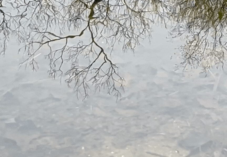 The art of percolation - by Sara Dotterer - Throughlines