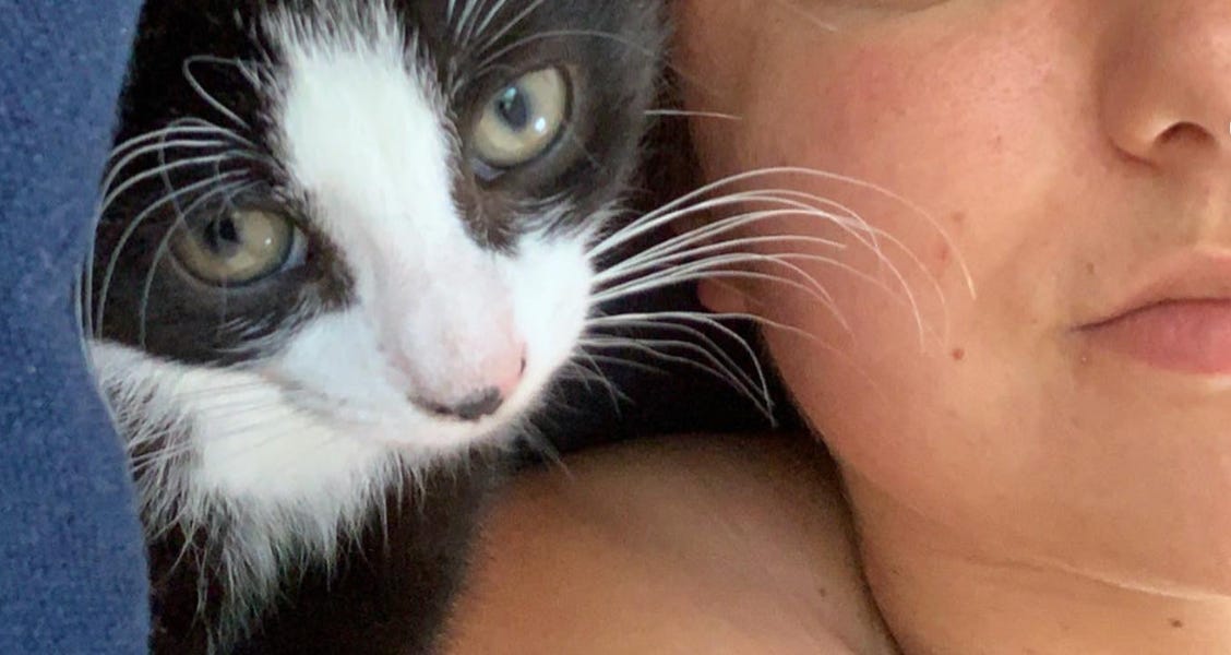 ania magliano wright