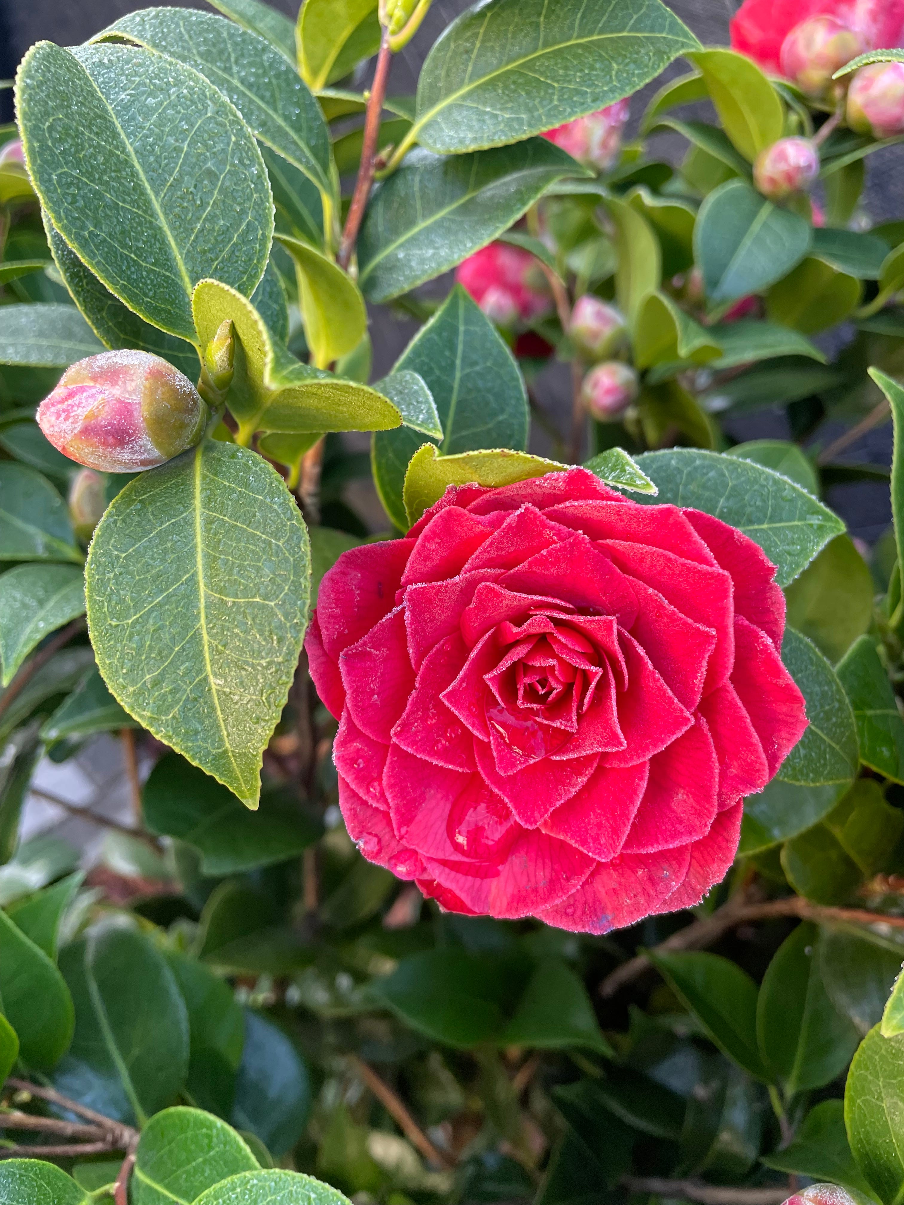 günün çorbası: 3N 1 ben: Mart