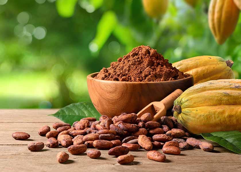 Cocoa Extract Supplement Reduces Key Marker of Inflammation and Aging ...