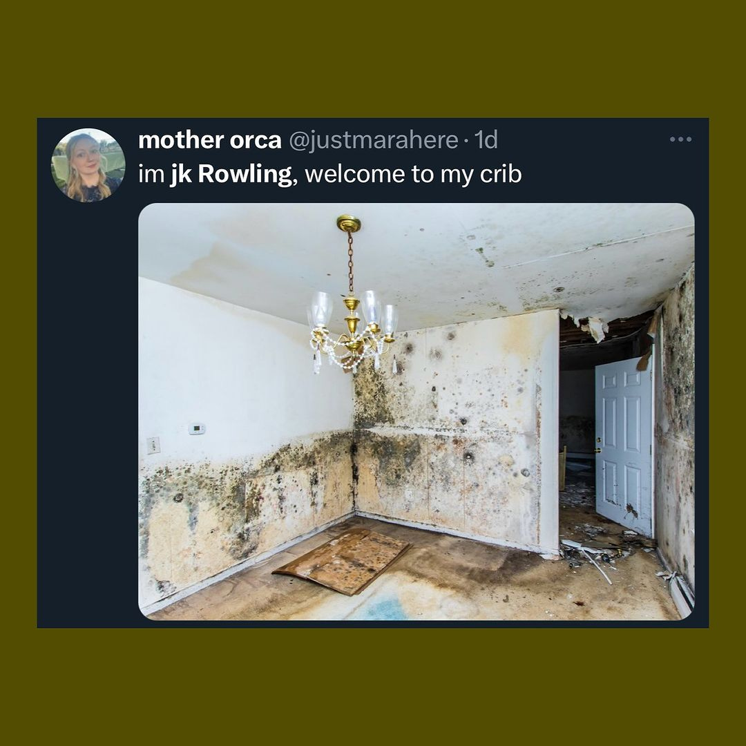 Is JK Rowling's brain actually full of black mould? An investigation