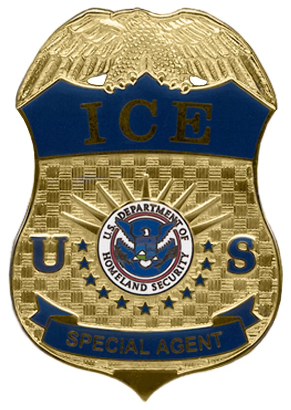 Some Thoughts about ICE's Future - by Cassidy Steele Dale