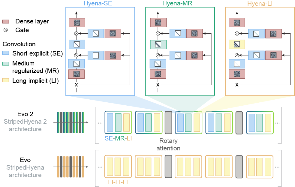 Genomic foundation models - by Melissa - bearably light