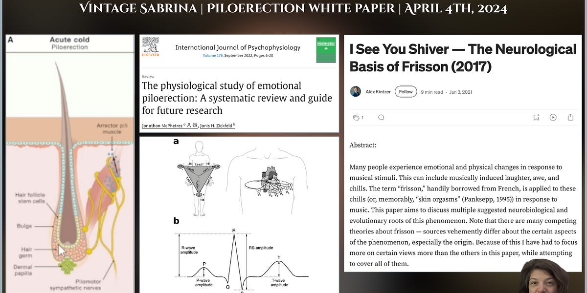 Vintage Sabrina | Piloerection white paper - by D Booma San