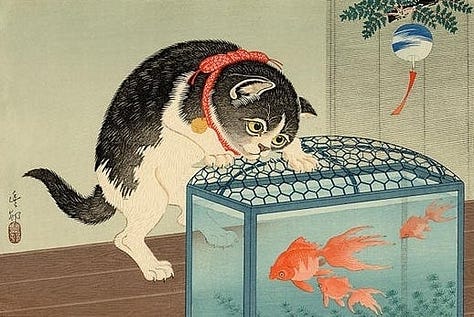 Cats in Japanese Folklore and Culture