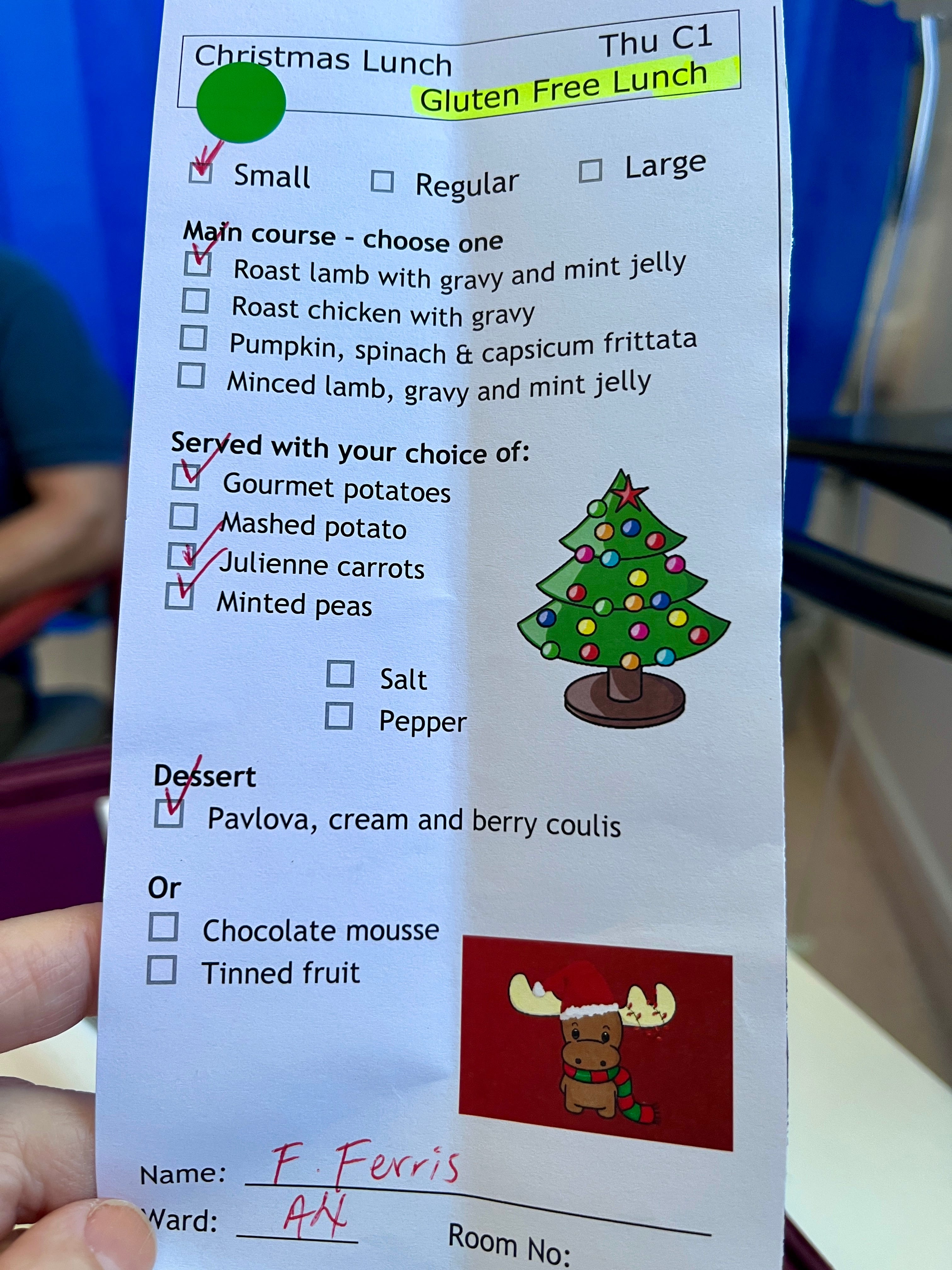 Out of hospital :) - Fiona Ferris Books