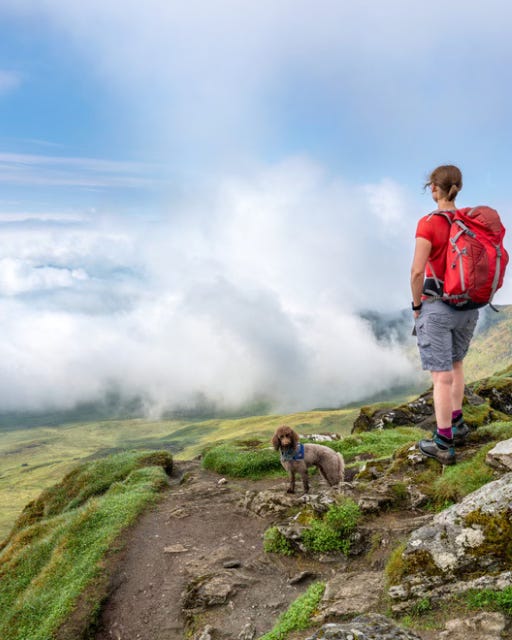The Fascinating Lochs of Scotland - by Narrative Nomad