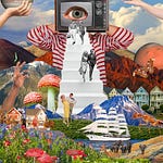 sarah wilson substack