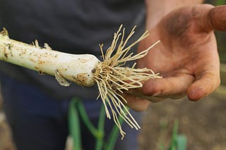 Huw Richards | Substack