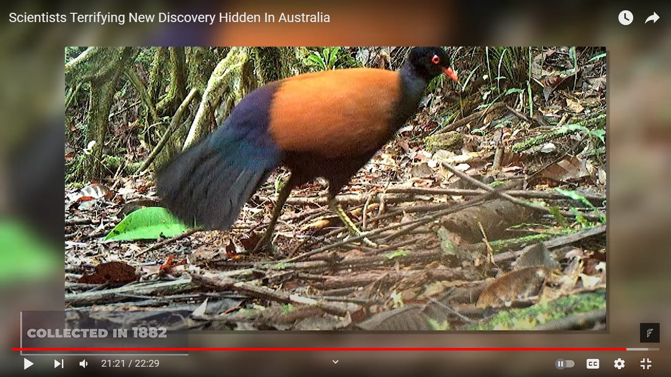 ADDING IMAGES & LINKS TO SUBSTACK POSTS - by Len Kinder