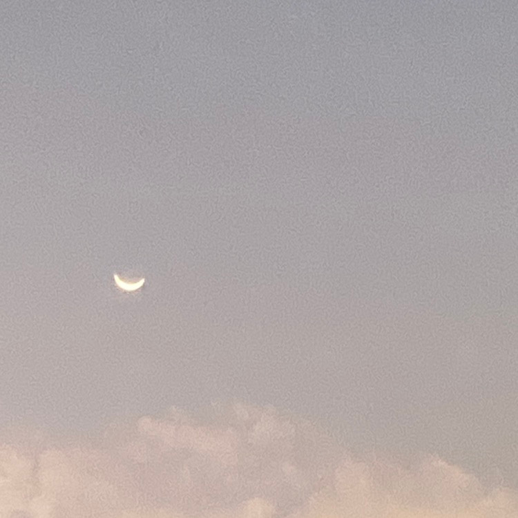 Celeste Tsang | Substack