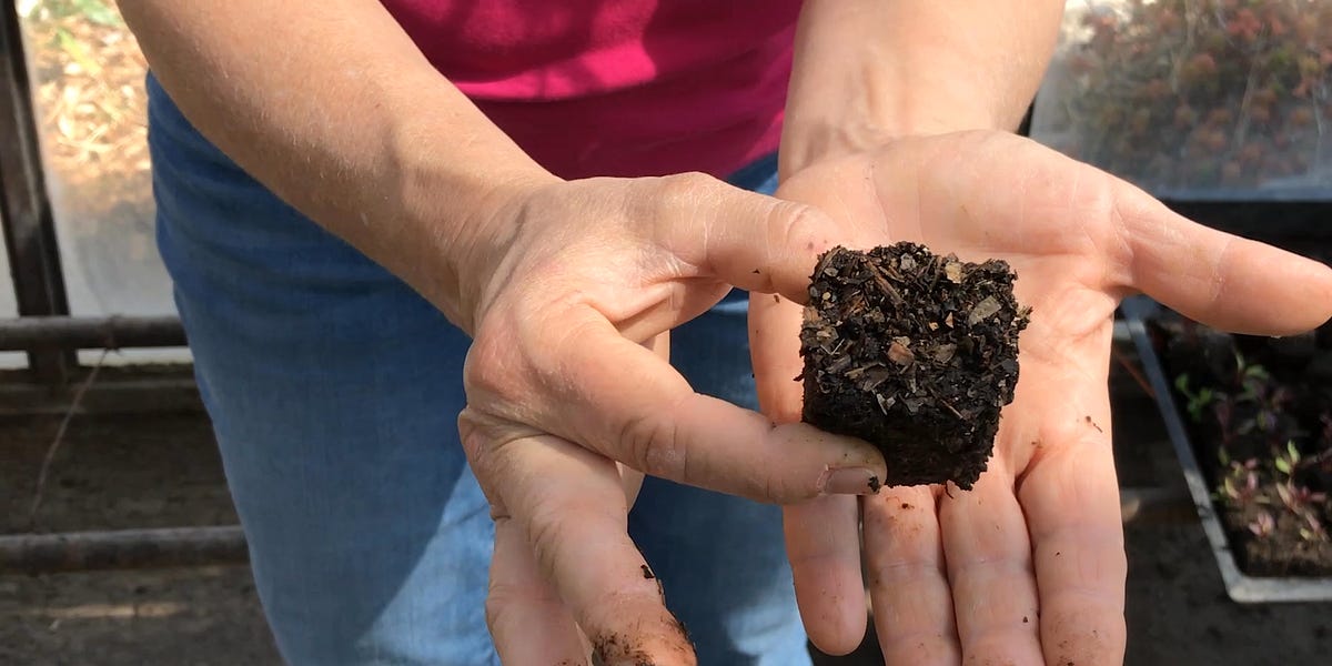 Innovative Seed Planter for Starting Seeds