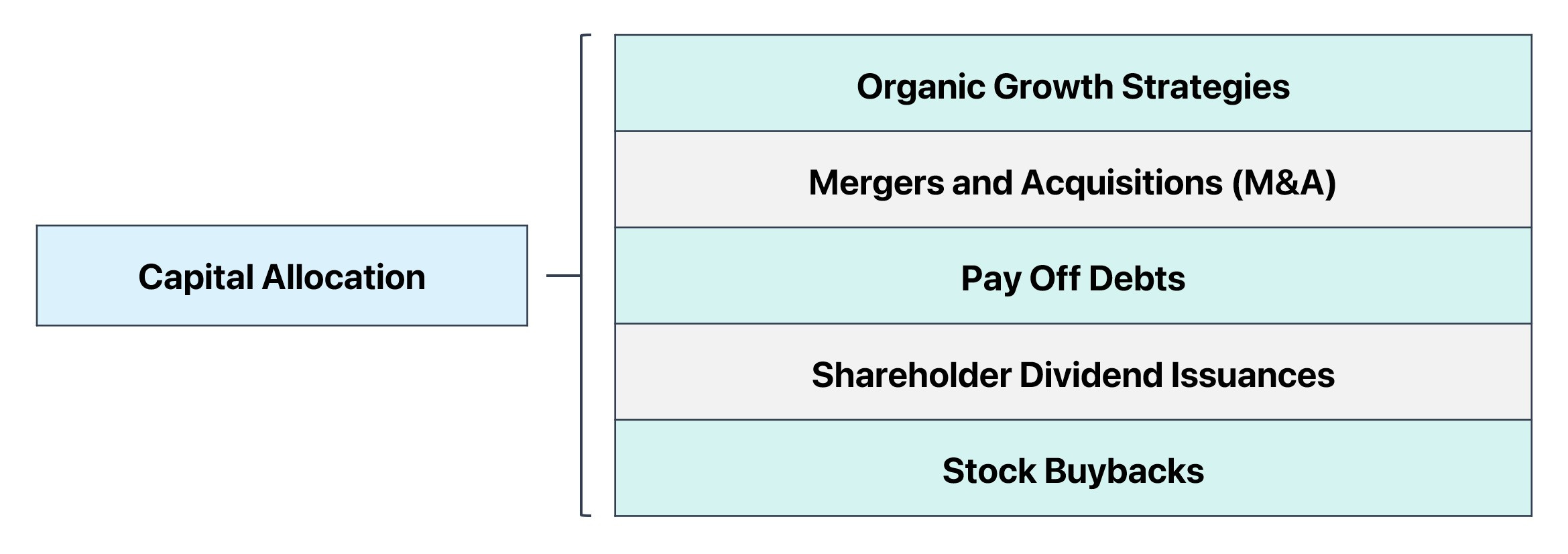 How to Spot the Next 100-Bagger Before Anyone Else (+Checklist to Find Your Own)