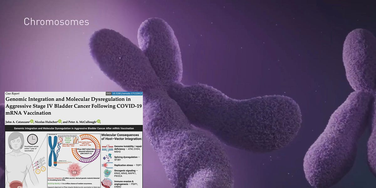 mRNA "Vaccine" Genomic Integration: Visualized in Hyper-Realistic Detail