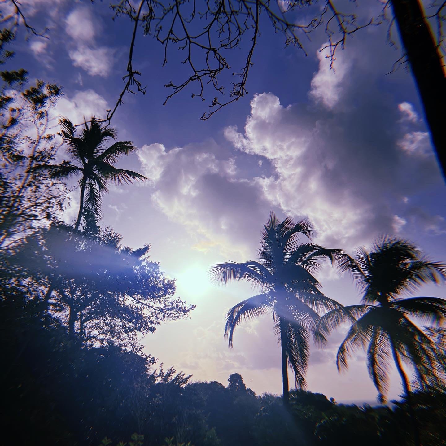 A Billy Goat Named Batty Man - Thais Francis Substack