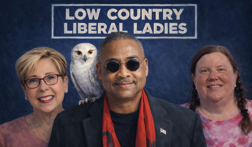Low Country Activist Group Accused of Tearing The Charleston County ...