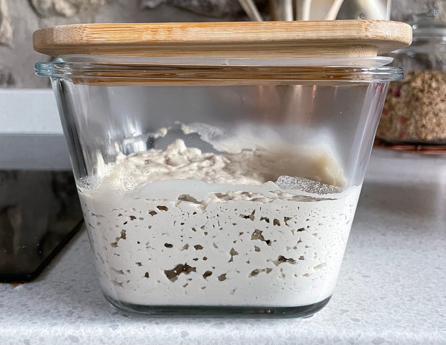 how to: make fermented vegan cheese - by Ellie Phoebe Brown